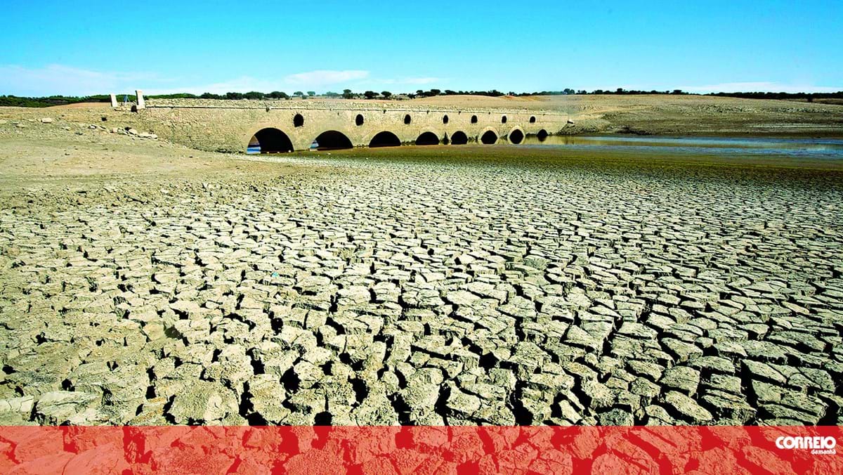 Governo anunciou linha de crédito de 20 milhões de euros para fazer ...
