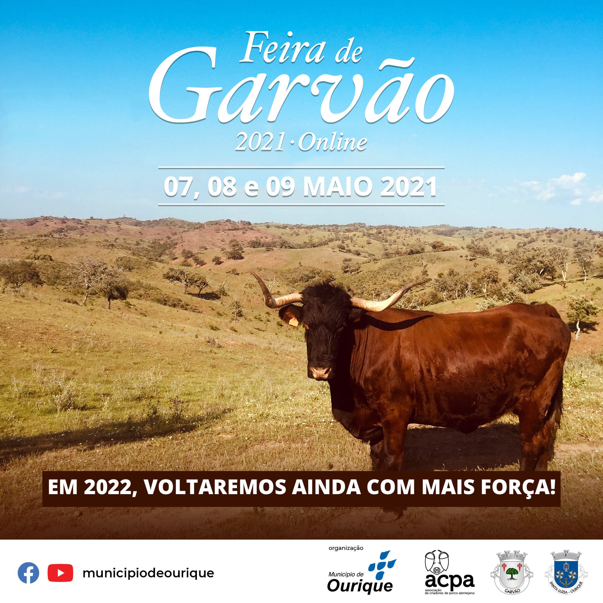 Feira de Garvão regressa em formato digital - Rádio Vidigueira