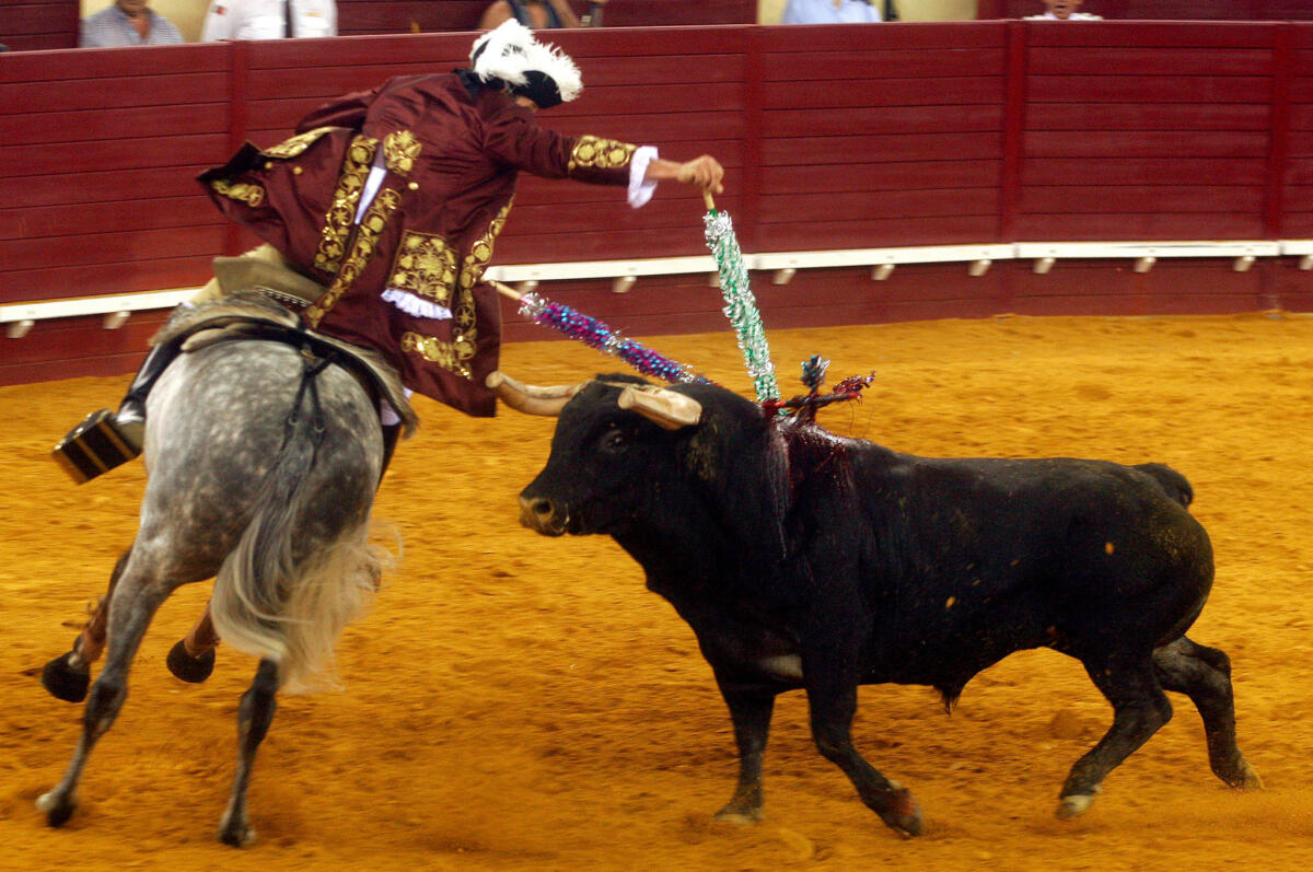 Governo aprova os 16 anos como idade minima para assistir a touradas ...