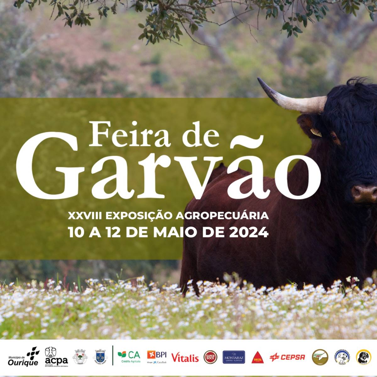 Feira de Garvão arranca hoje - Rádio Vidigueira