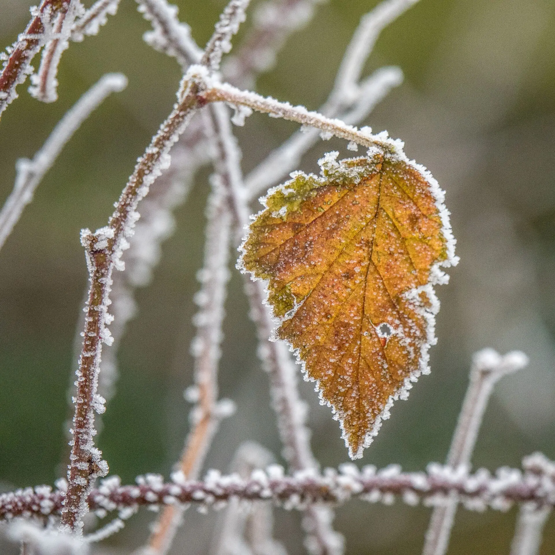 Beja em aviso amarelo devido ao tempo frio - Rádio Vidigueira